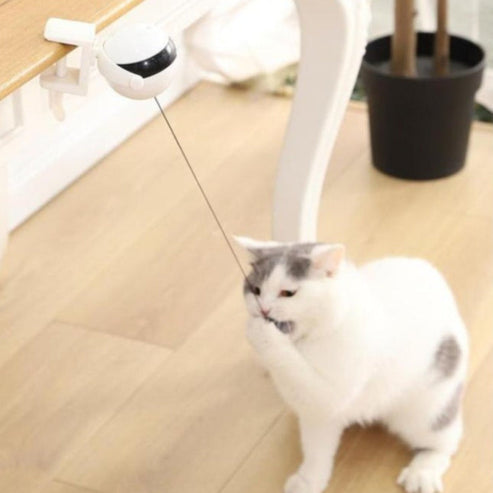 Cat Teaser Toy Electronic Lifting Ball Motion Activated Interactive Ca ...