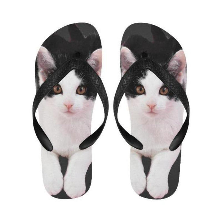Cat Printed Shoes – Cute Cats Store
